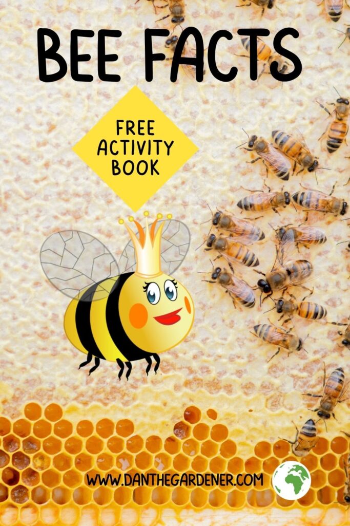 Bee Facts - Dan The Gardener & Friends