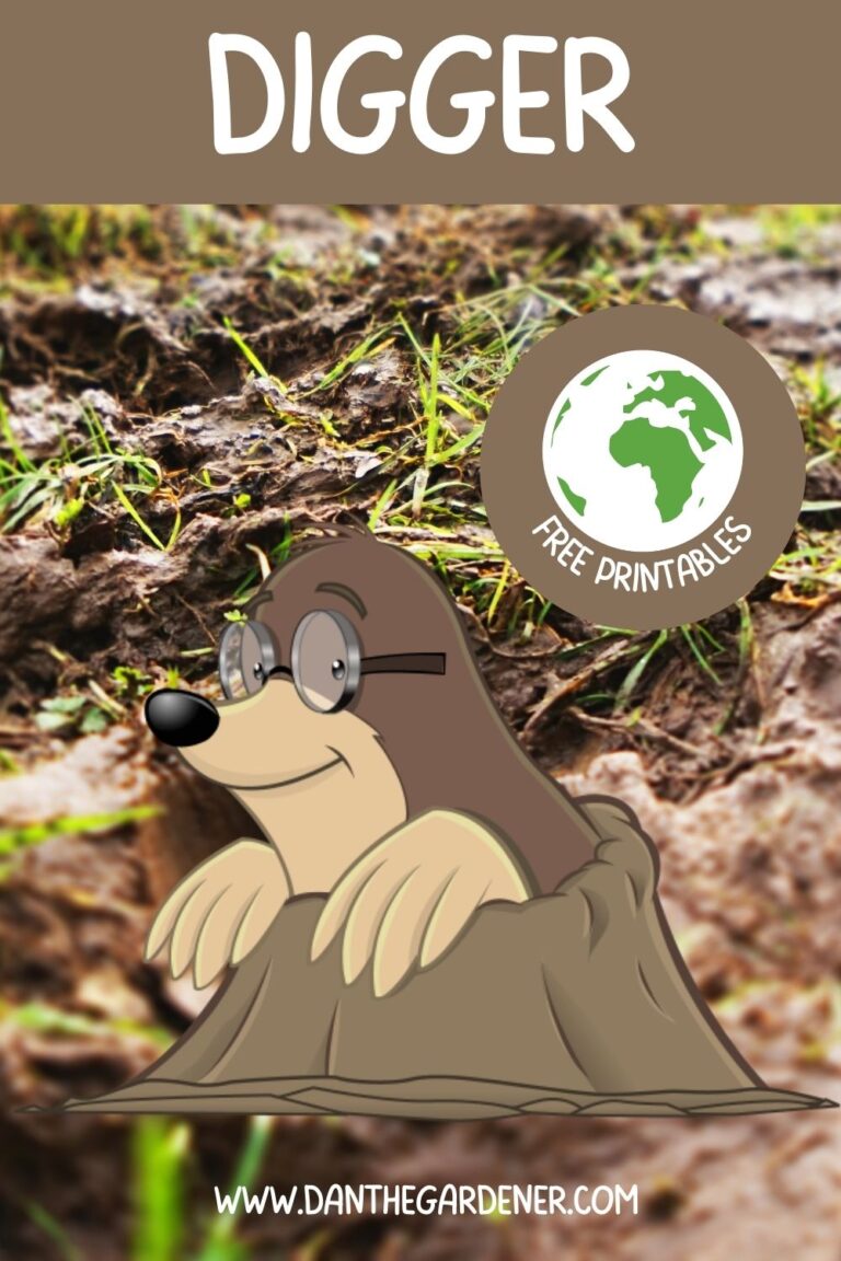 Digger The Mole I am a garden mole who can not see very well - Dan The ...