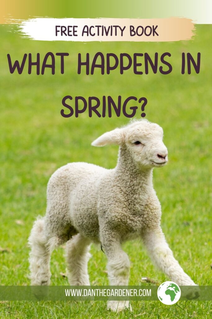What Happens in Spring for Kids – Seasonal Changes