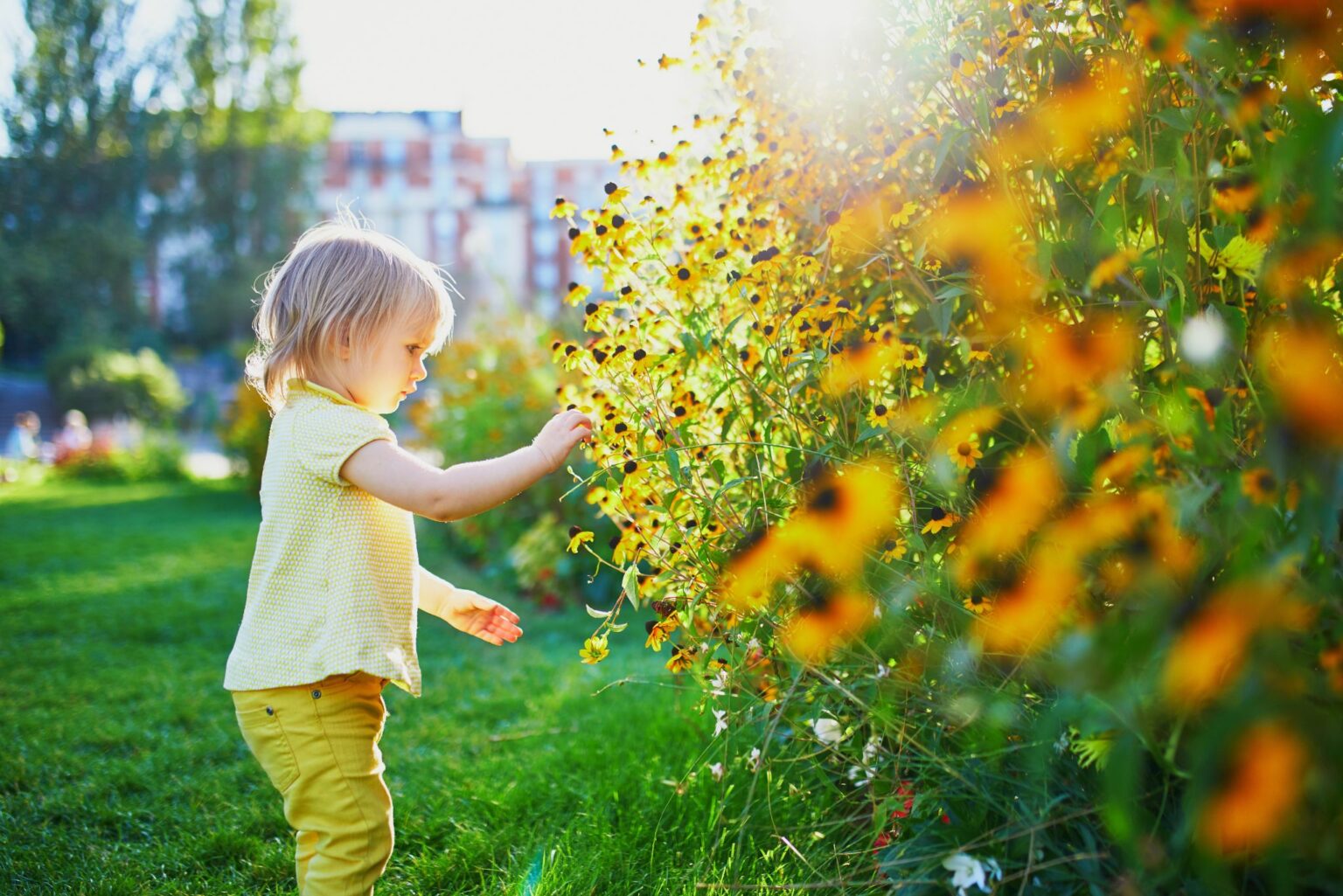 Garden Mindfulness For Kids – Garden Mindfulness: Nurturing Little ...
